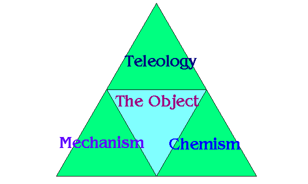 Hegel's System of Knowledge
