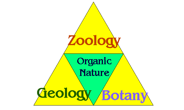 Hegel's System of Knowledge