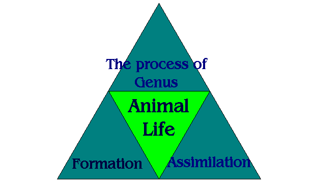 Hegel's System of Knowledge
